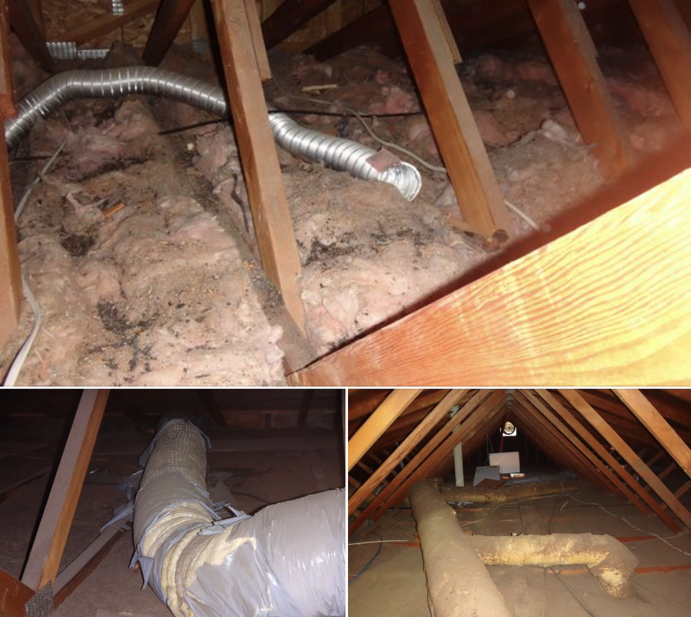 Upgrade Insulation and Save Money - BITE AWAY TERMITE AND PEST CONTROL ...